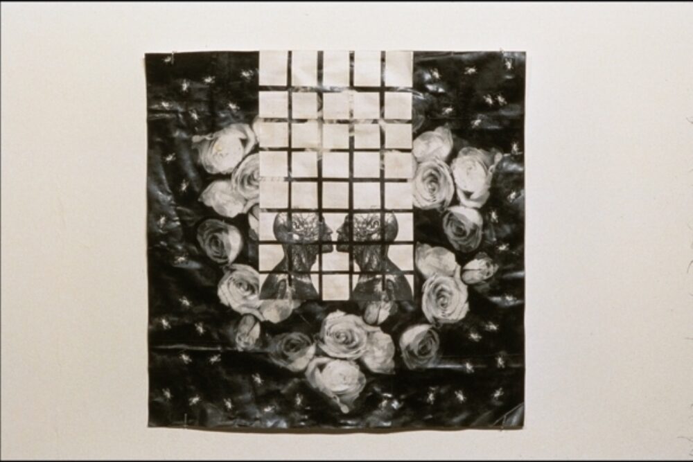 Visual AIDS | William Cullum