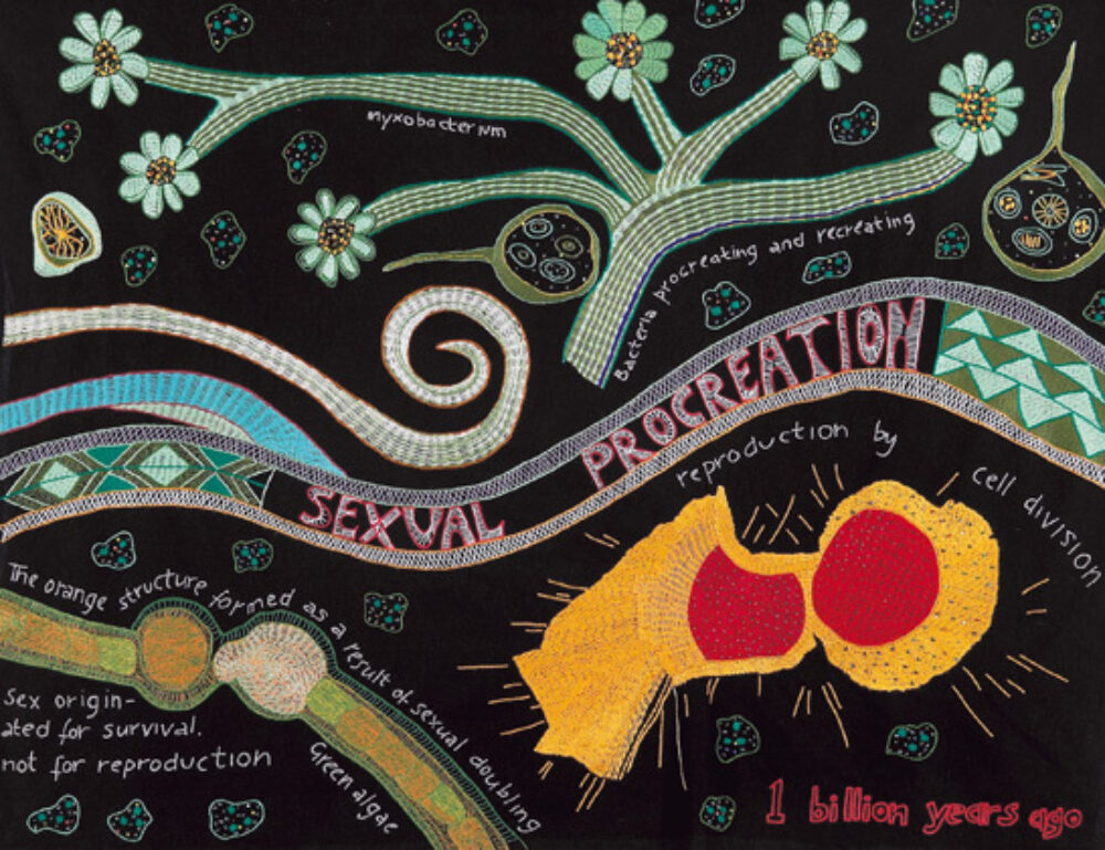 Creating this body of works supported the women in… | Visual AIDS