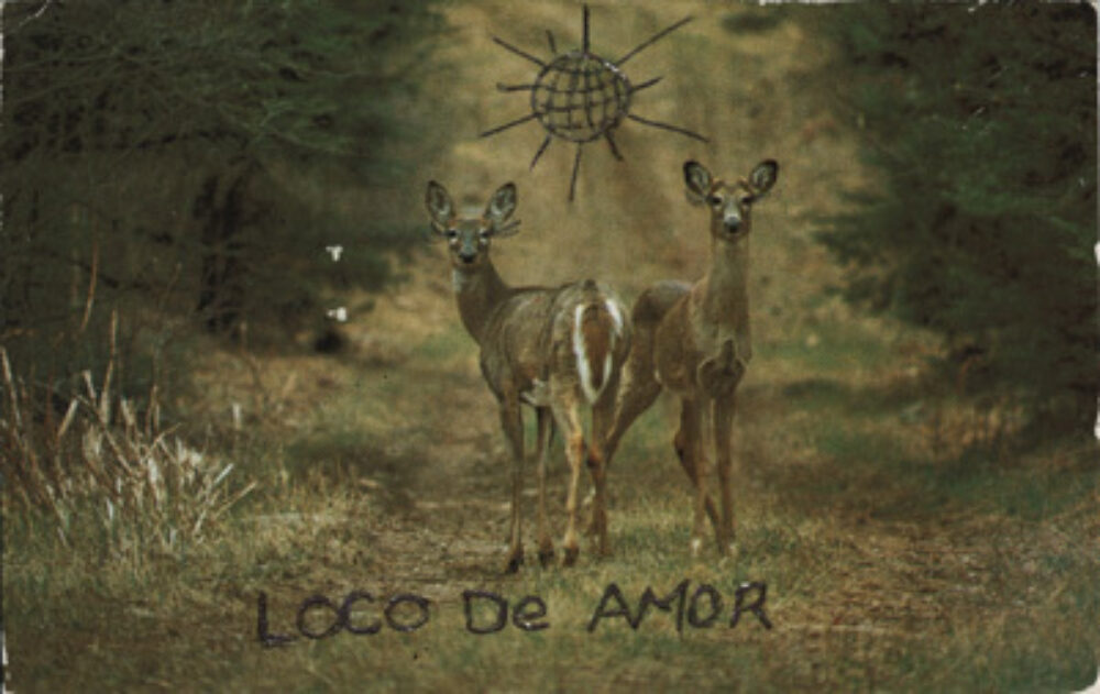 Felix Gonzalez-Torres, Ross Laycock & Carl George: An… | Visual AIDS