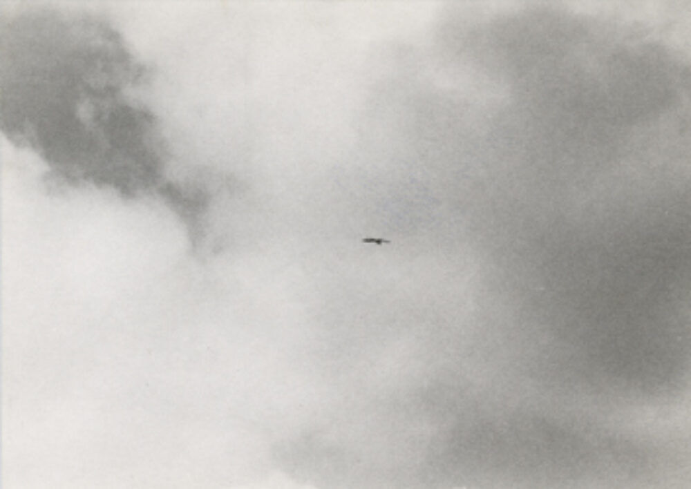 Felix Gonzalez-Torres, Ross Laycock & Carl George: An… | Visual AIDS