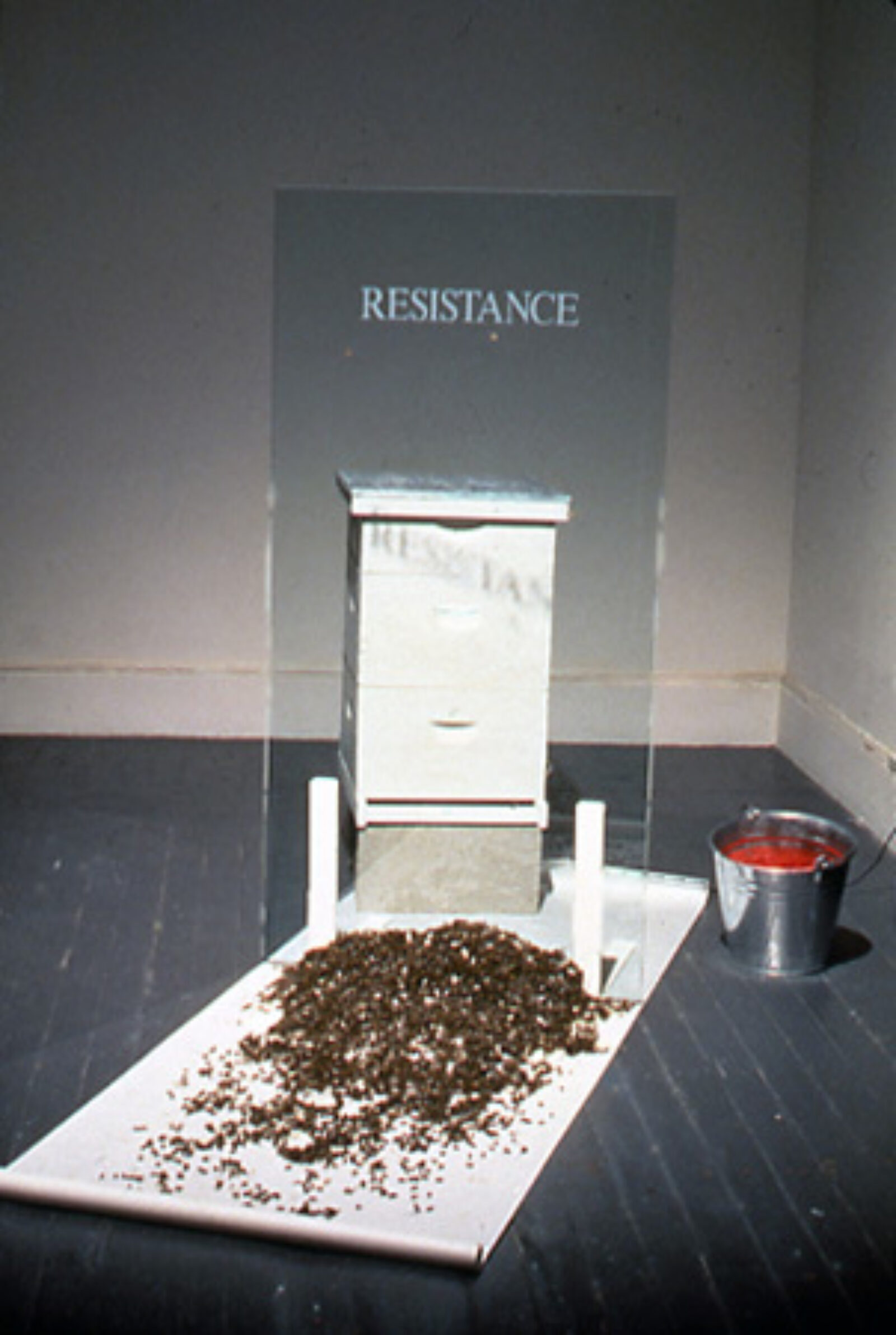 Borders/Crossings | Visual AIDS