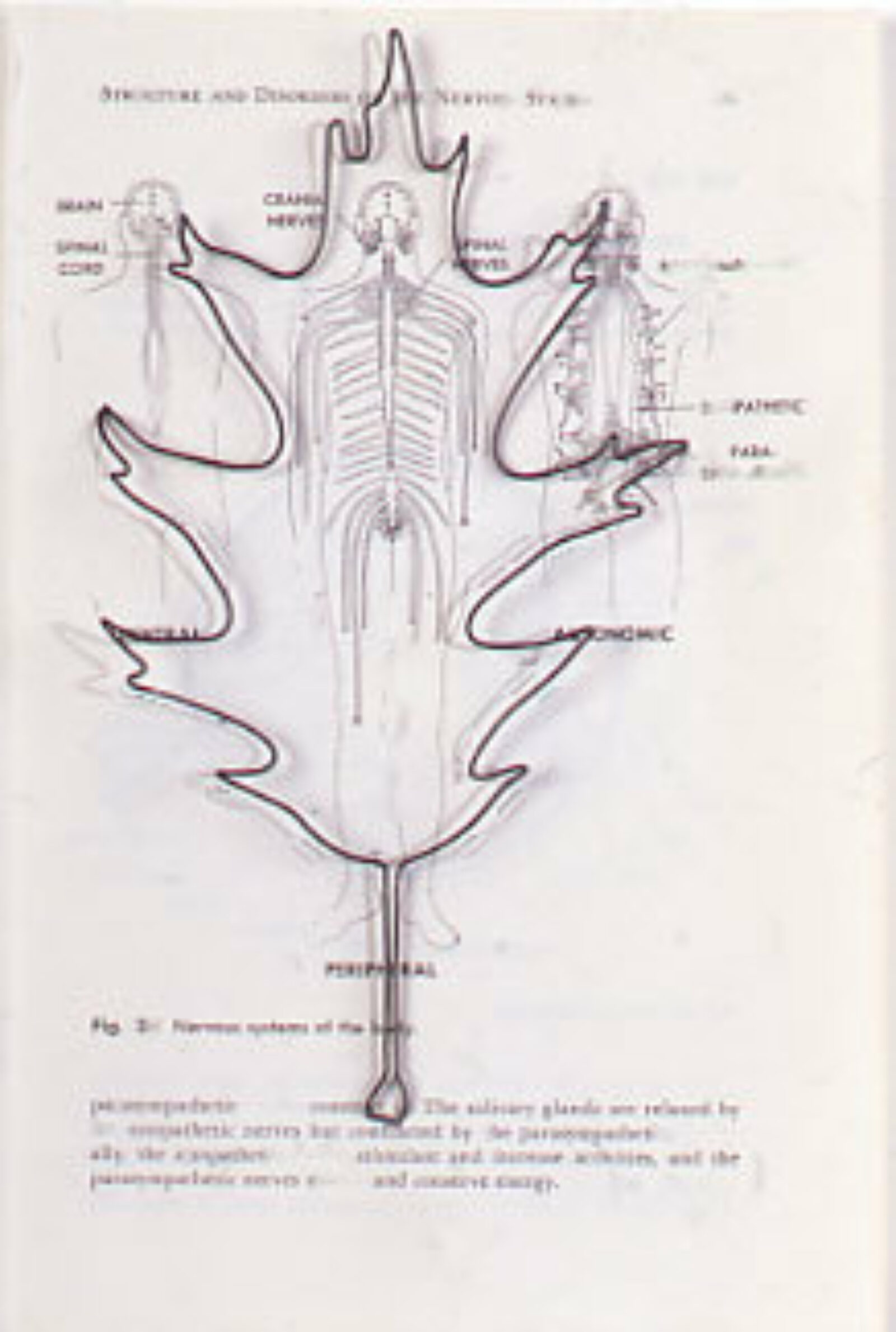 Borders/Crossings | Visual AIDS