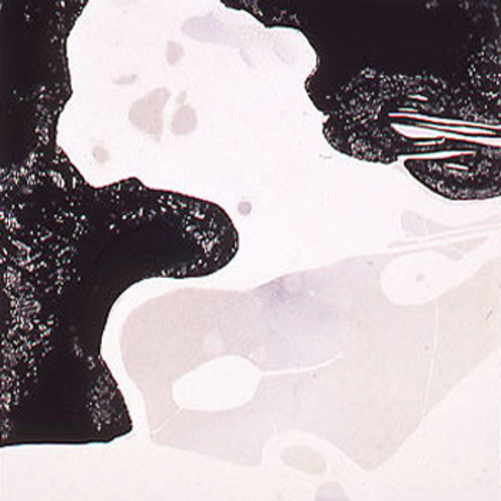 Borders/Crossings | Visual AIDS