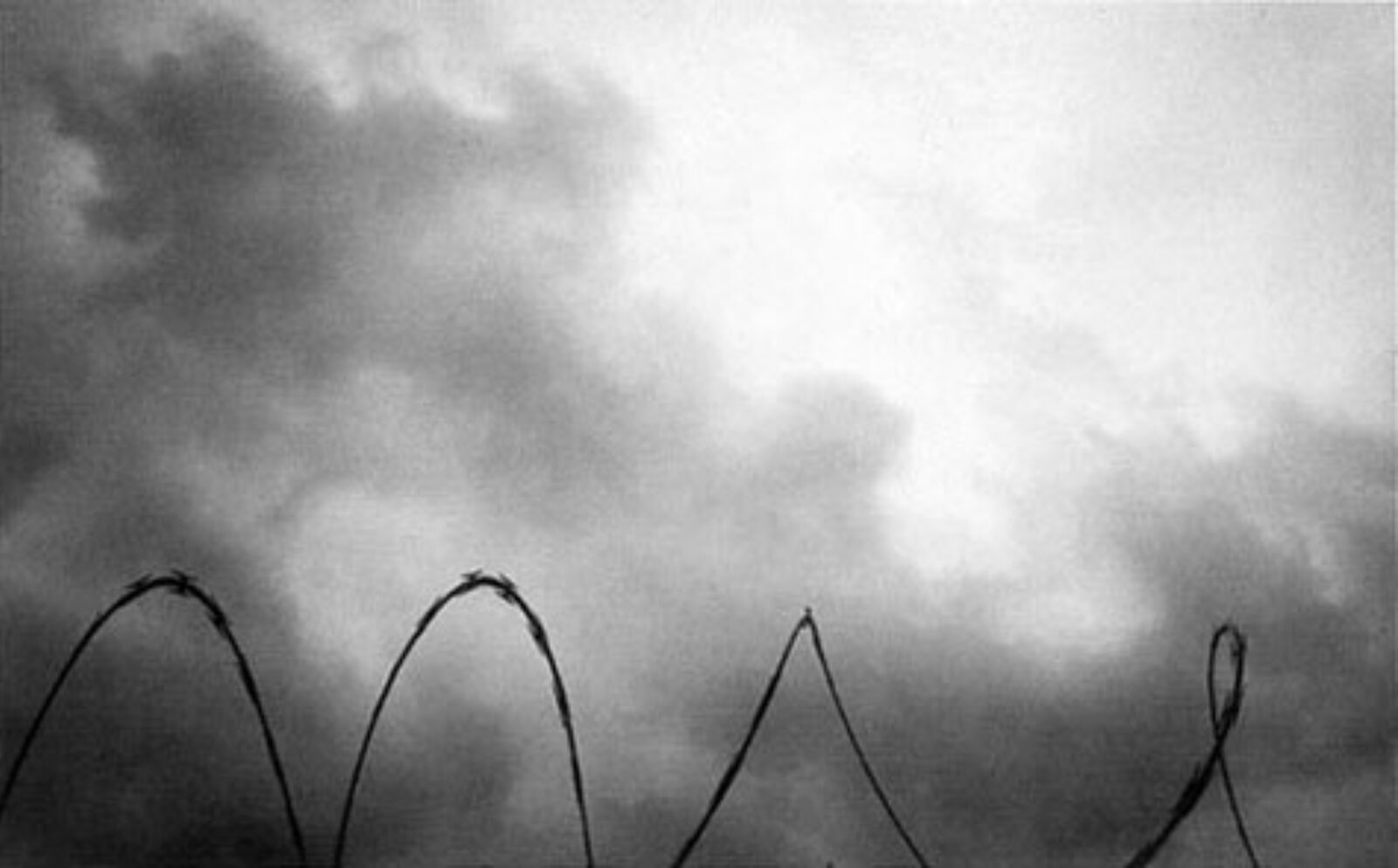 Borders/Crossings | Visual AIDS