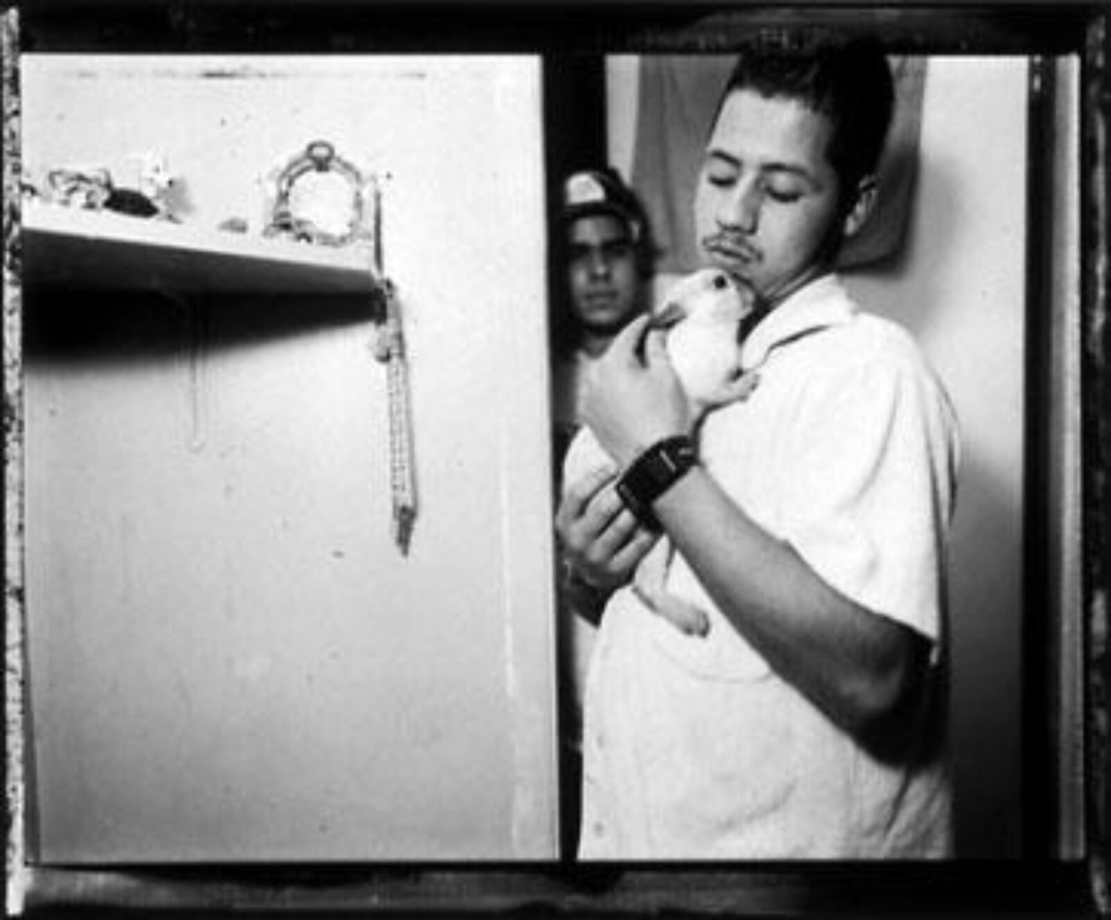 Compassion, Responsibility and Independence | Visual AIDS