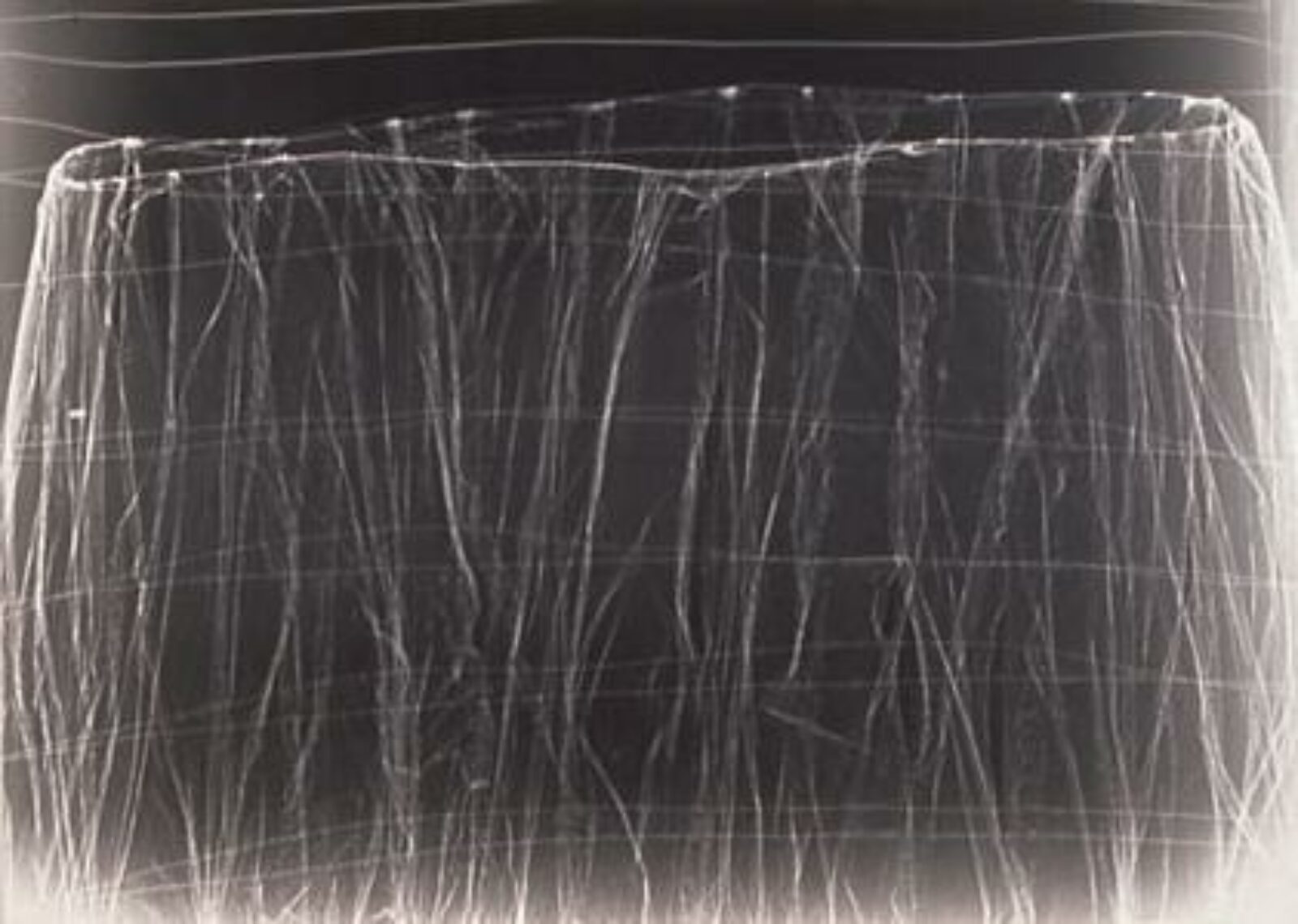 Diving Into The Archive | Visual AIDS