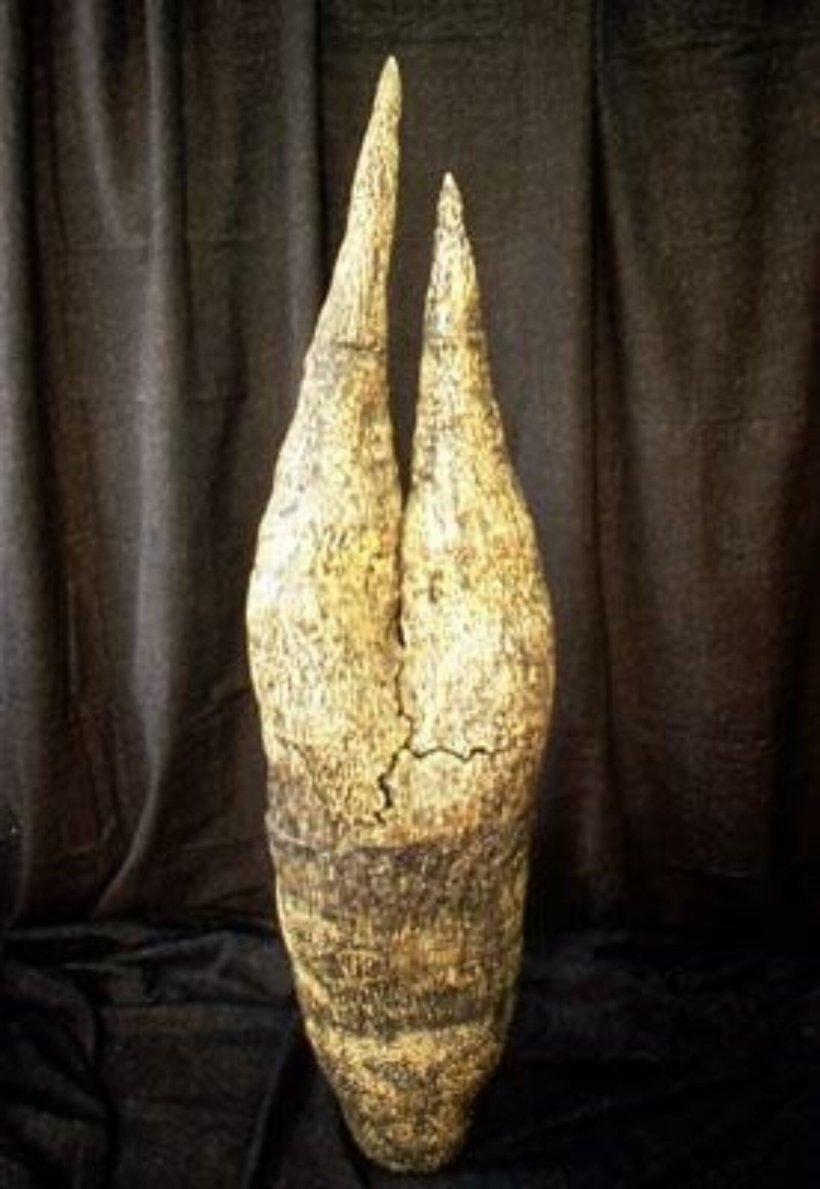 Diving Into The Archive | Visual AIDS