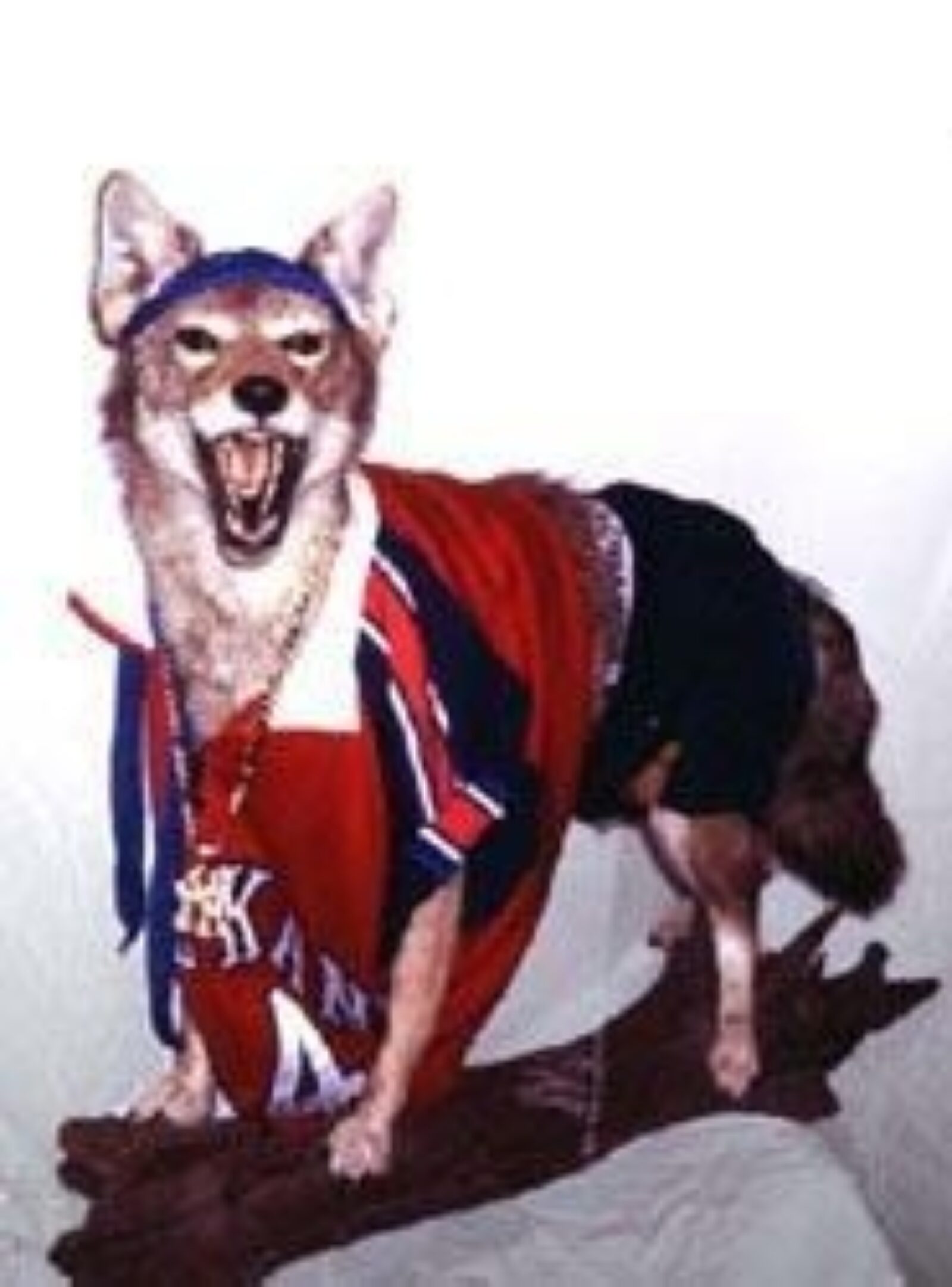 Dress Up | Visual AIDS