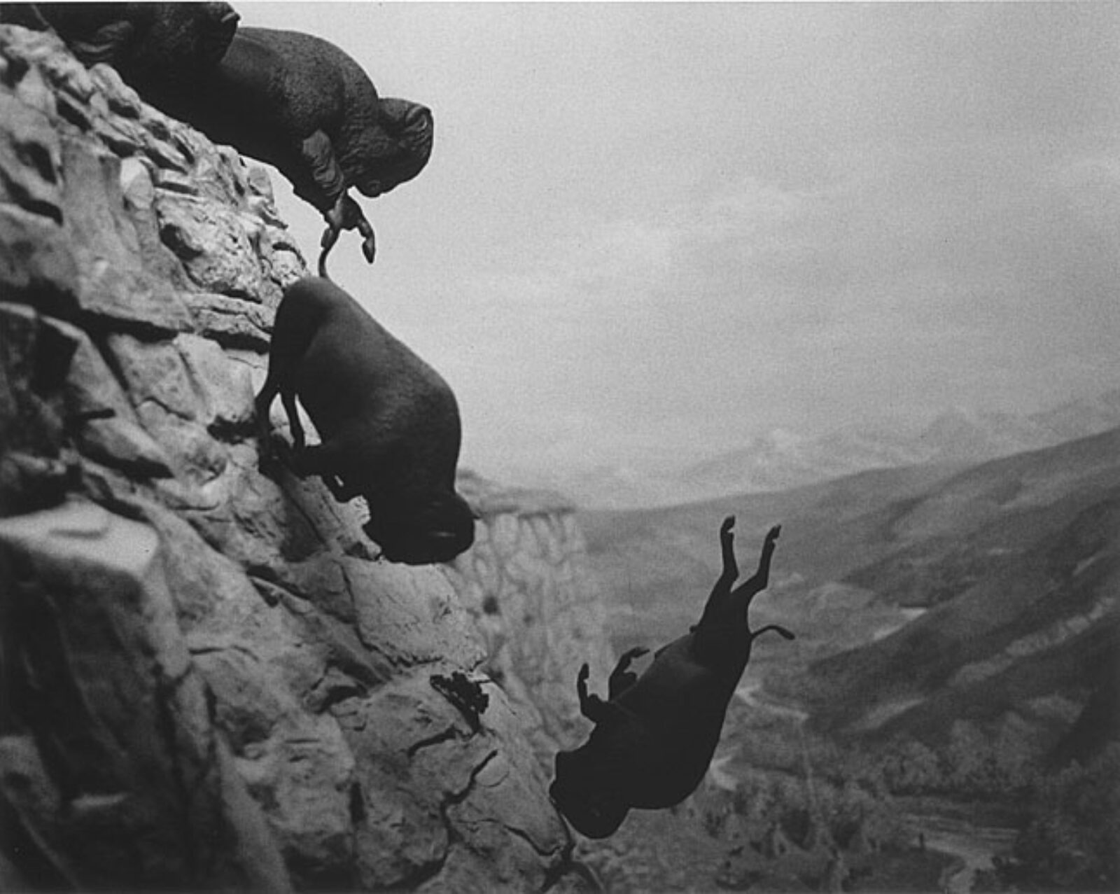 Facing Death | Visual AIDS