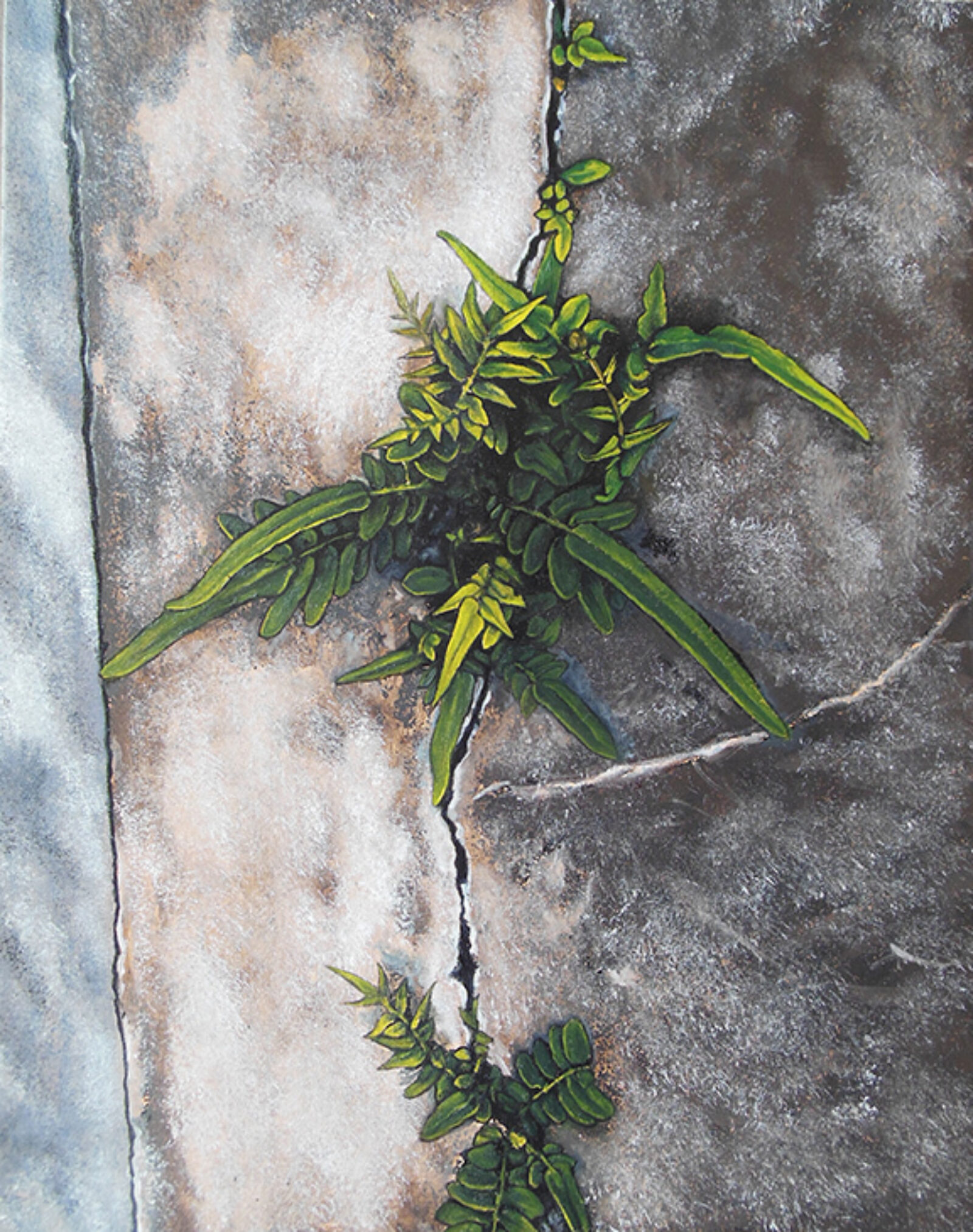 FIRING THE CANON | Visual AIDS