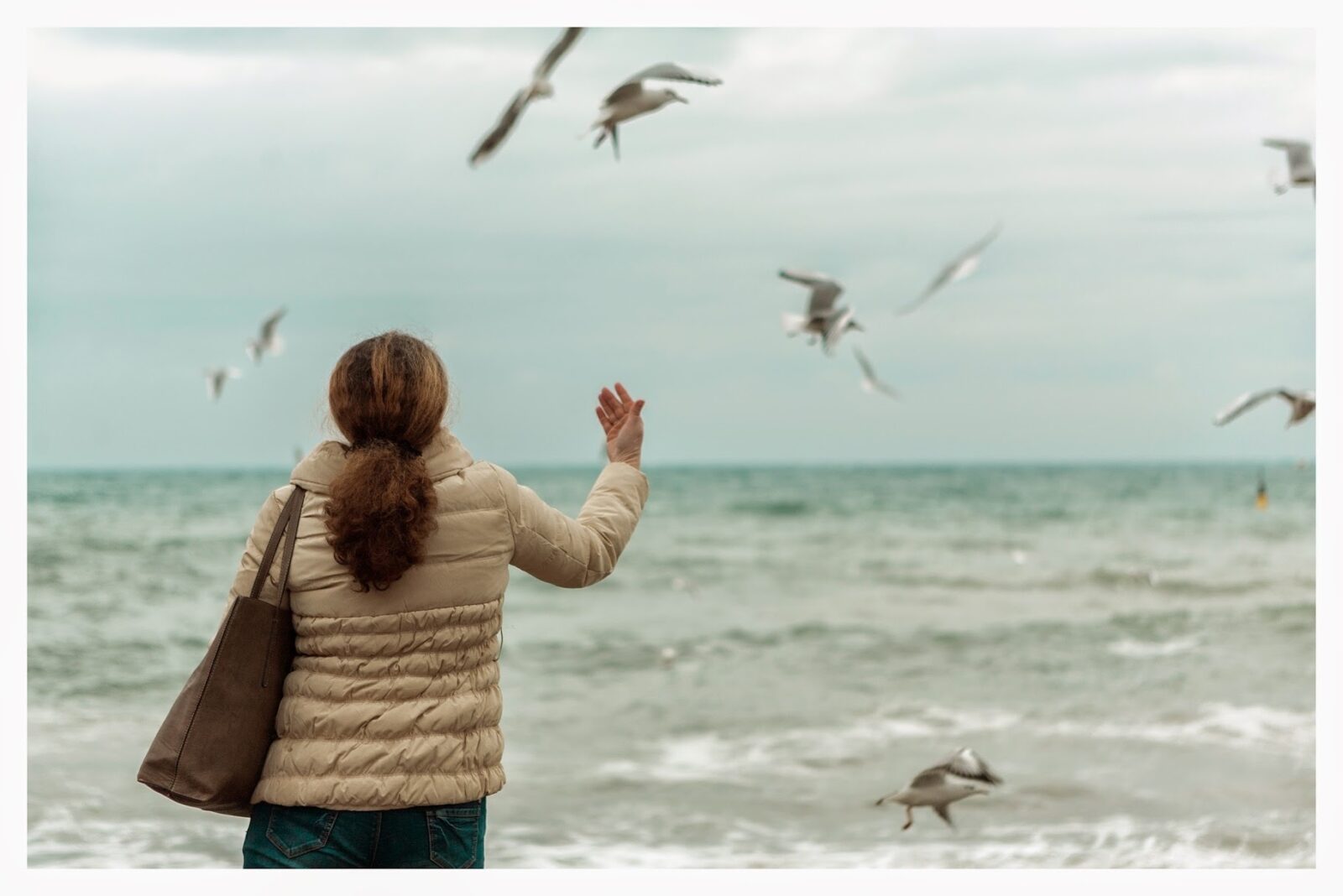 FIRING THE CANON | Visual AIDS