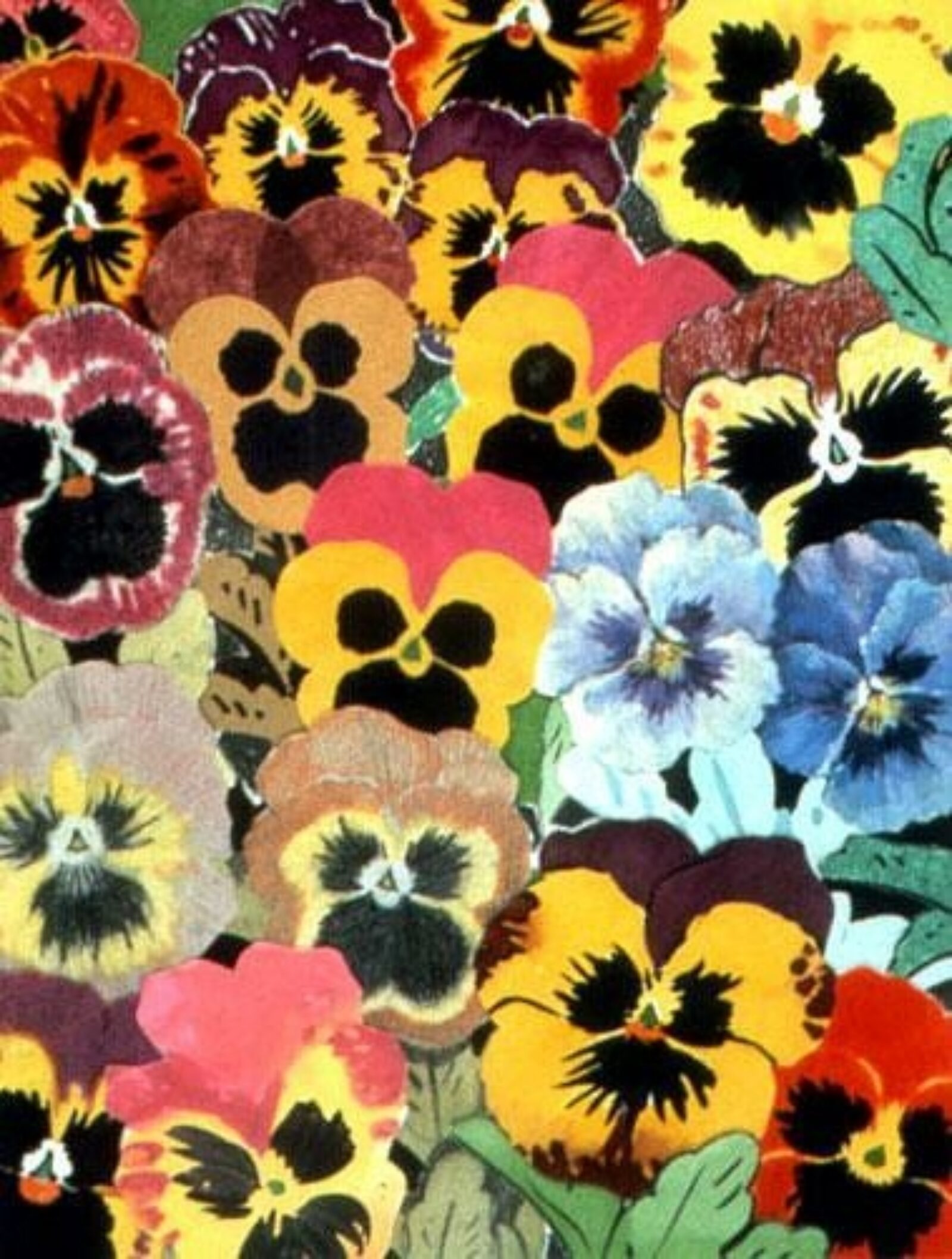 Medicine Show | Visual AIDS