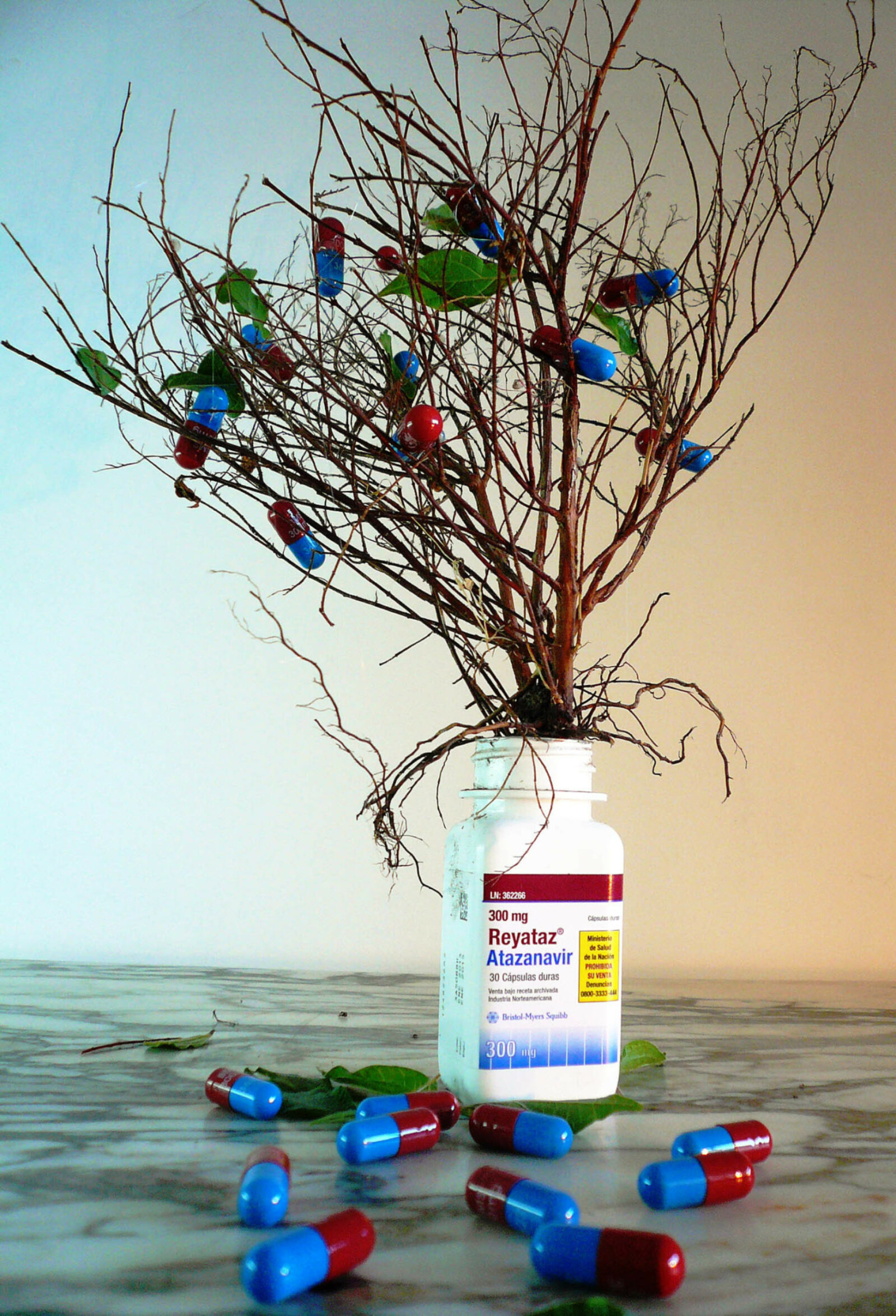 Perseverance | Visual AIDS