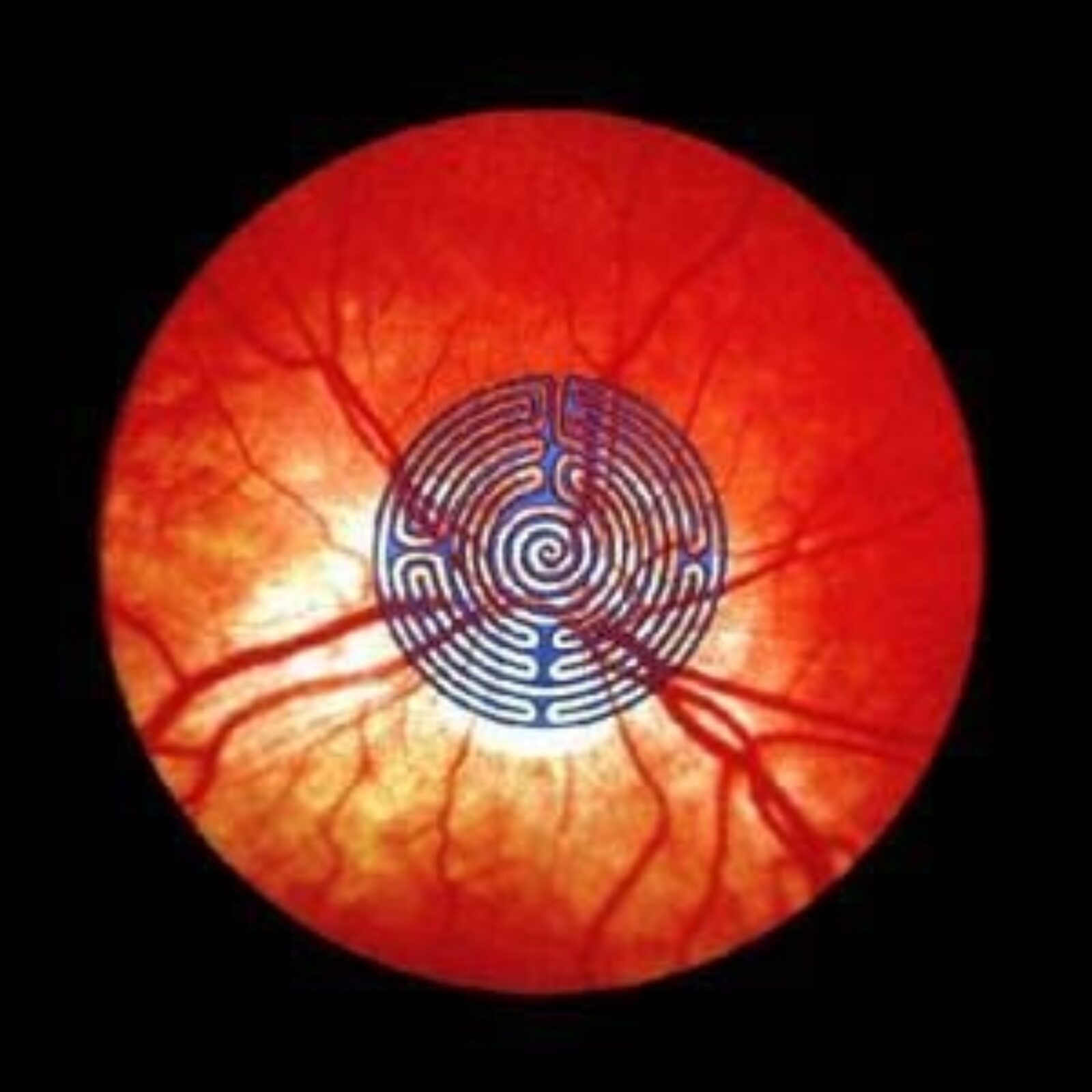 Rob Flack: This Is True To Me | Visual AIDS