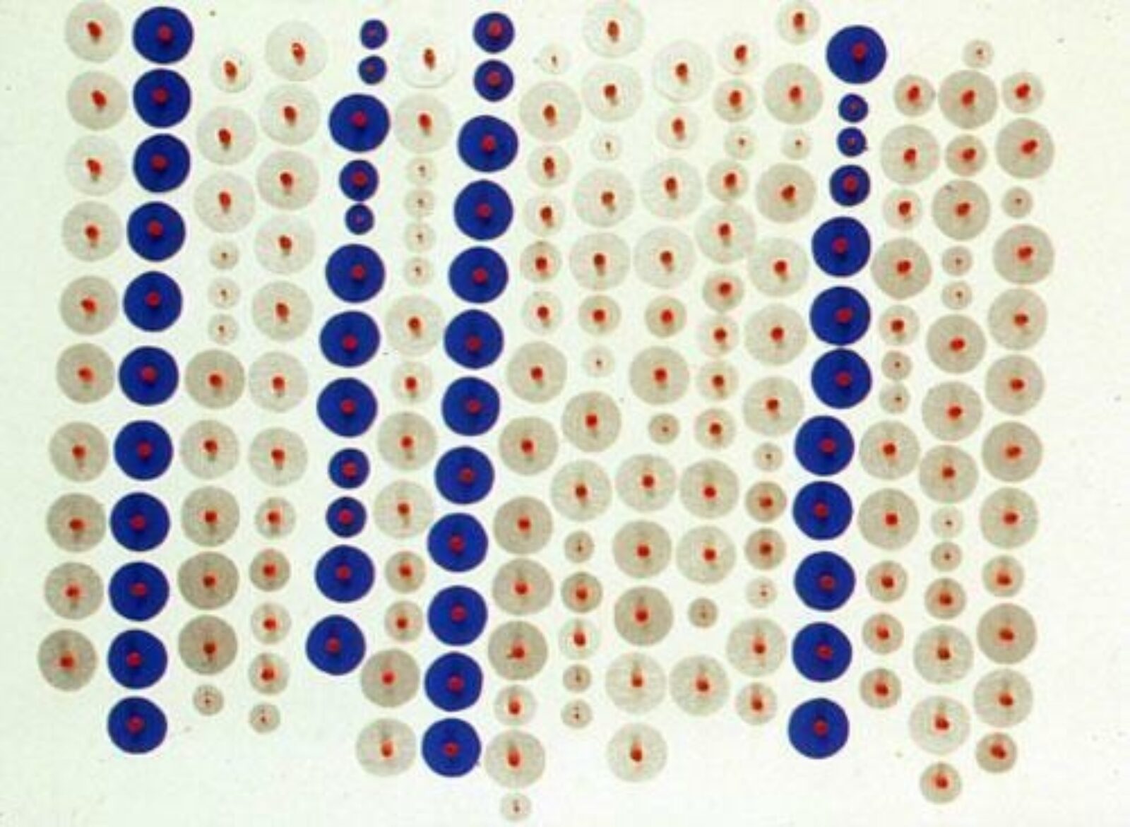 Take With Food | Visual AIDS