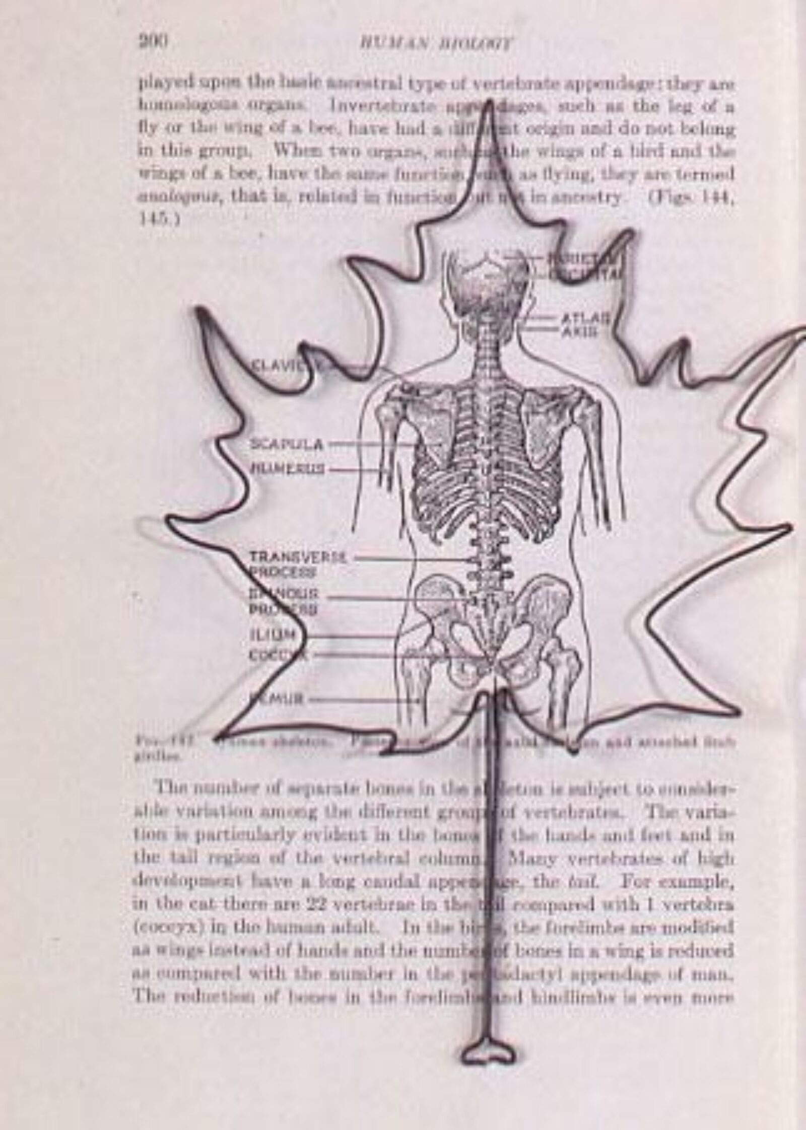 Take With Food | Visual AIDS