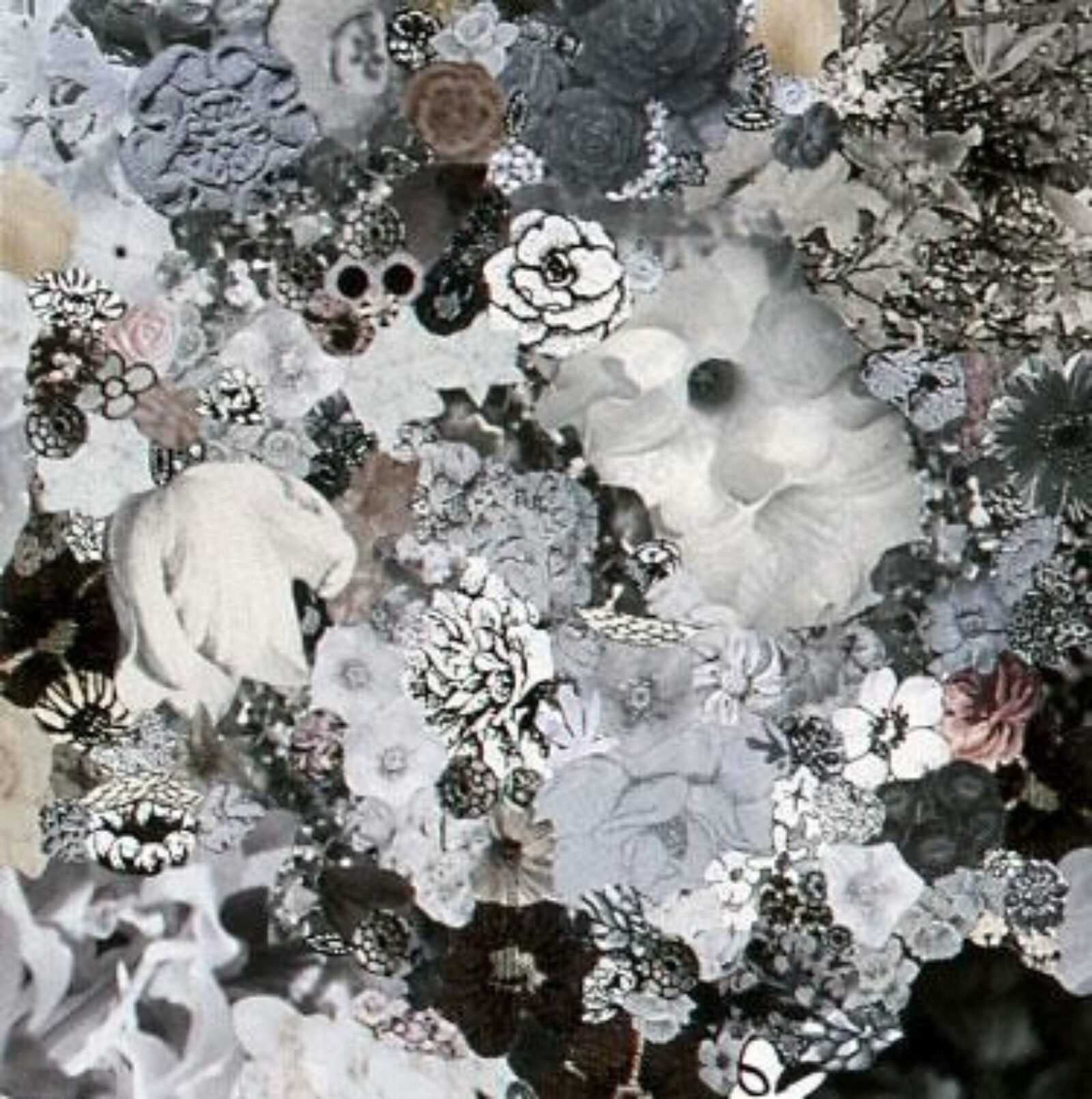 The Pure Cut | Visual AIDS