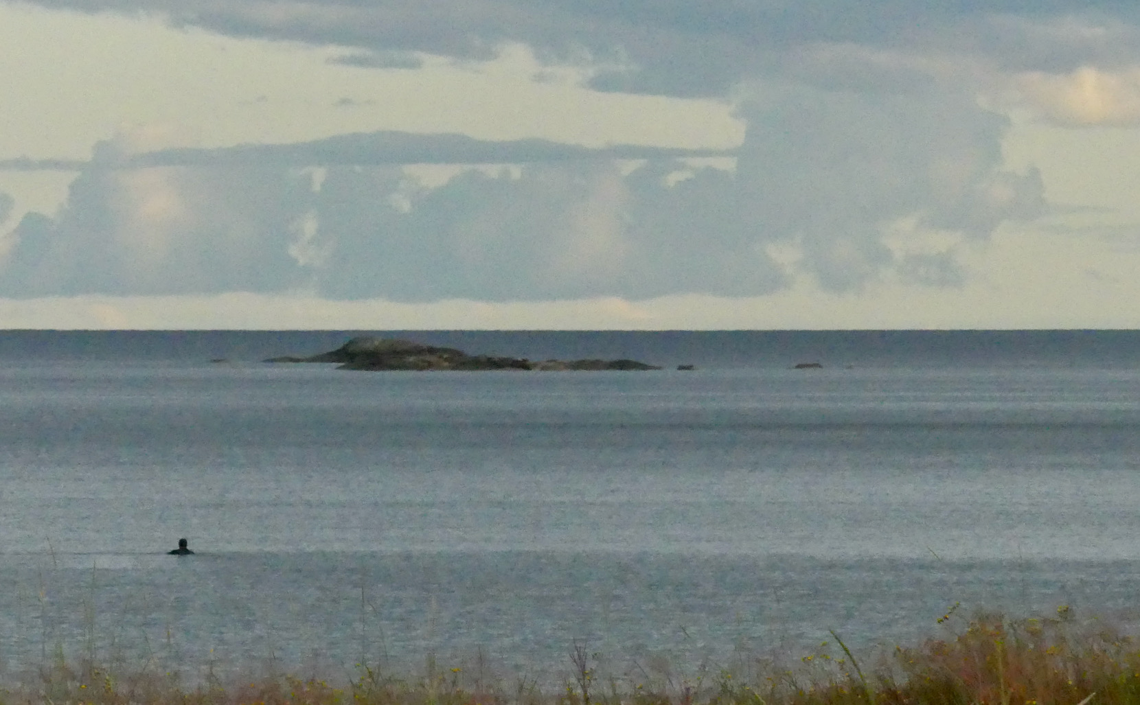 Spaning av molnodjur över stilla hav | Umeås Bästa (UB)