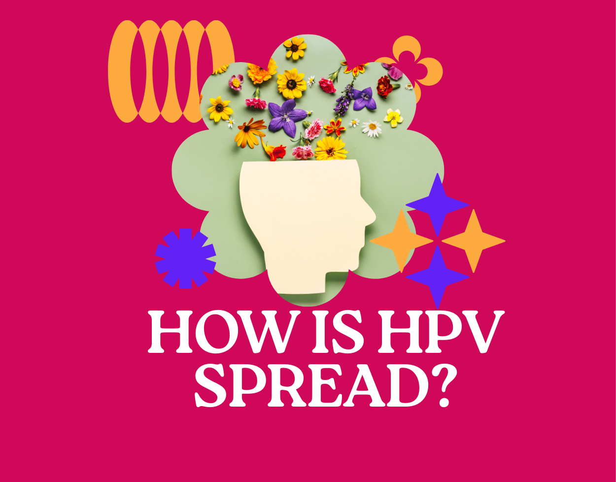 How Is HPV Spread?