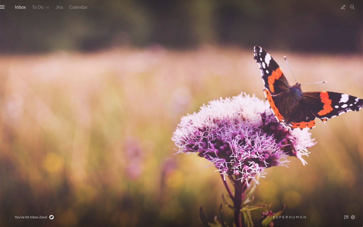 Superhuman | Download