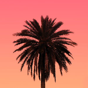 Prompts Articles & Tutorials by Weights & Biases