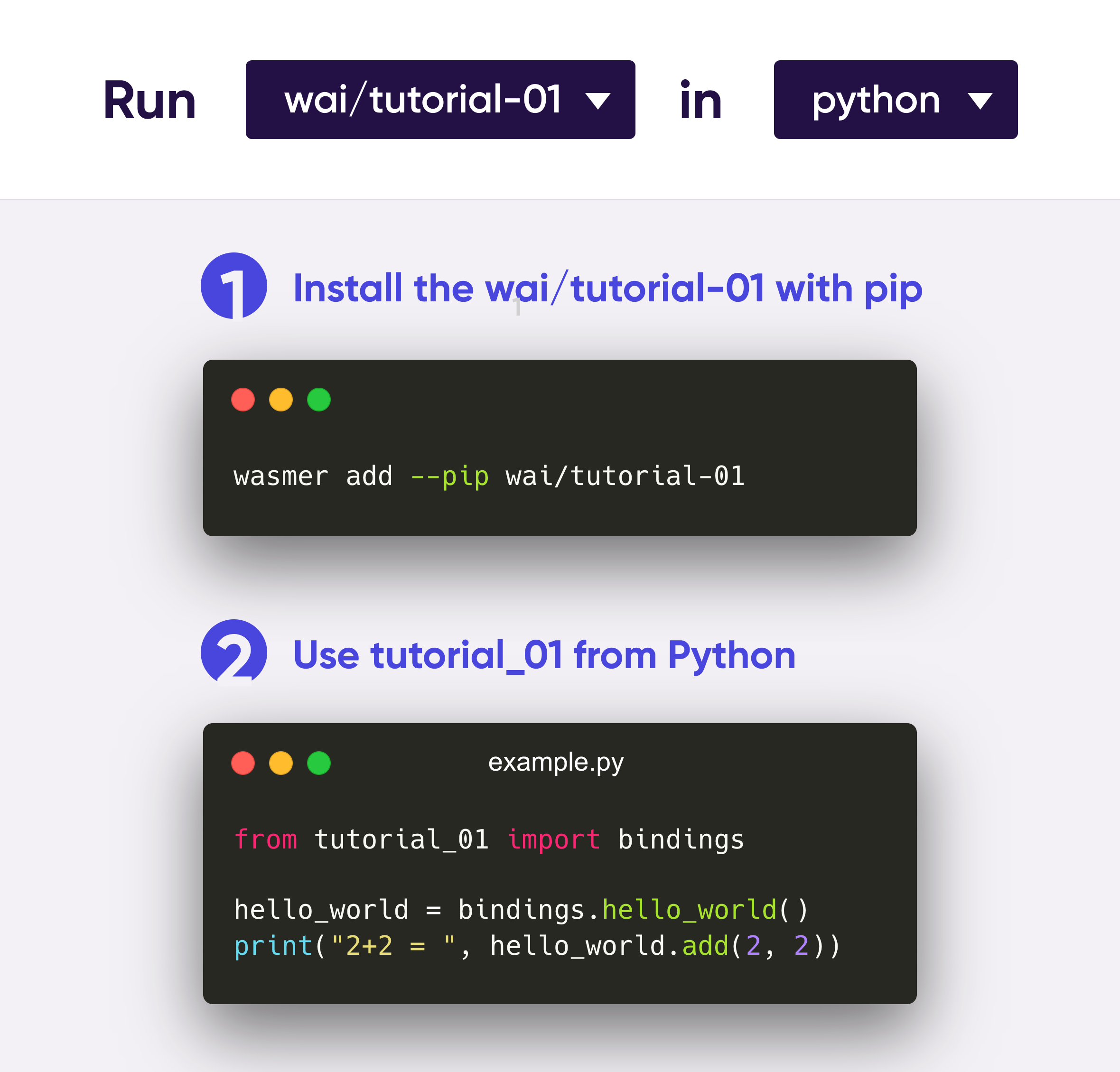 Wasmer takes WebAssembly libraries mainstream with WAI