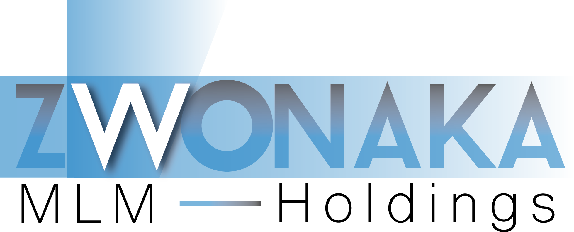 About Us - Zwonaka Holdings