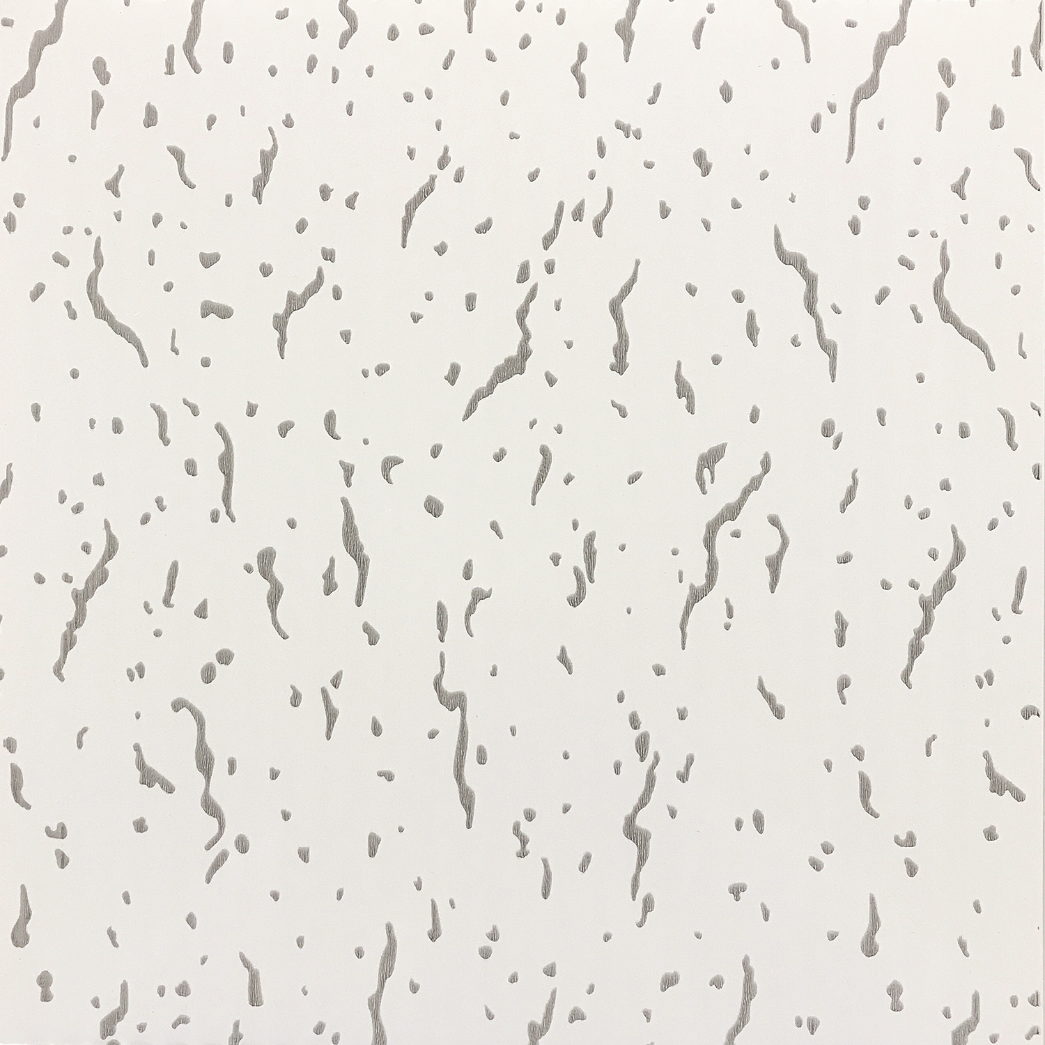 PVC Ceilings - Camfly