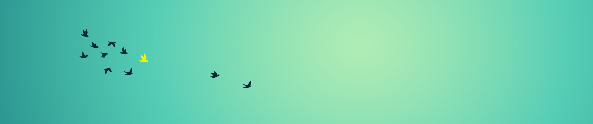 Firstbird GmbH | Jobs & Videostories | whatchado