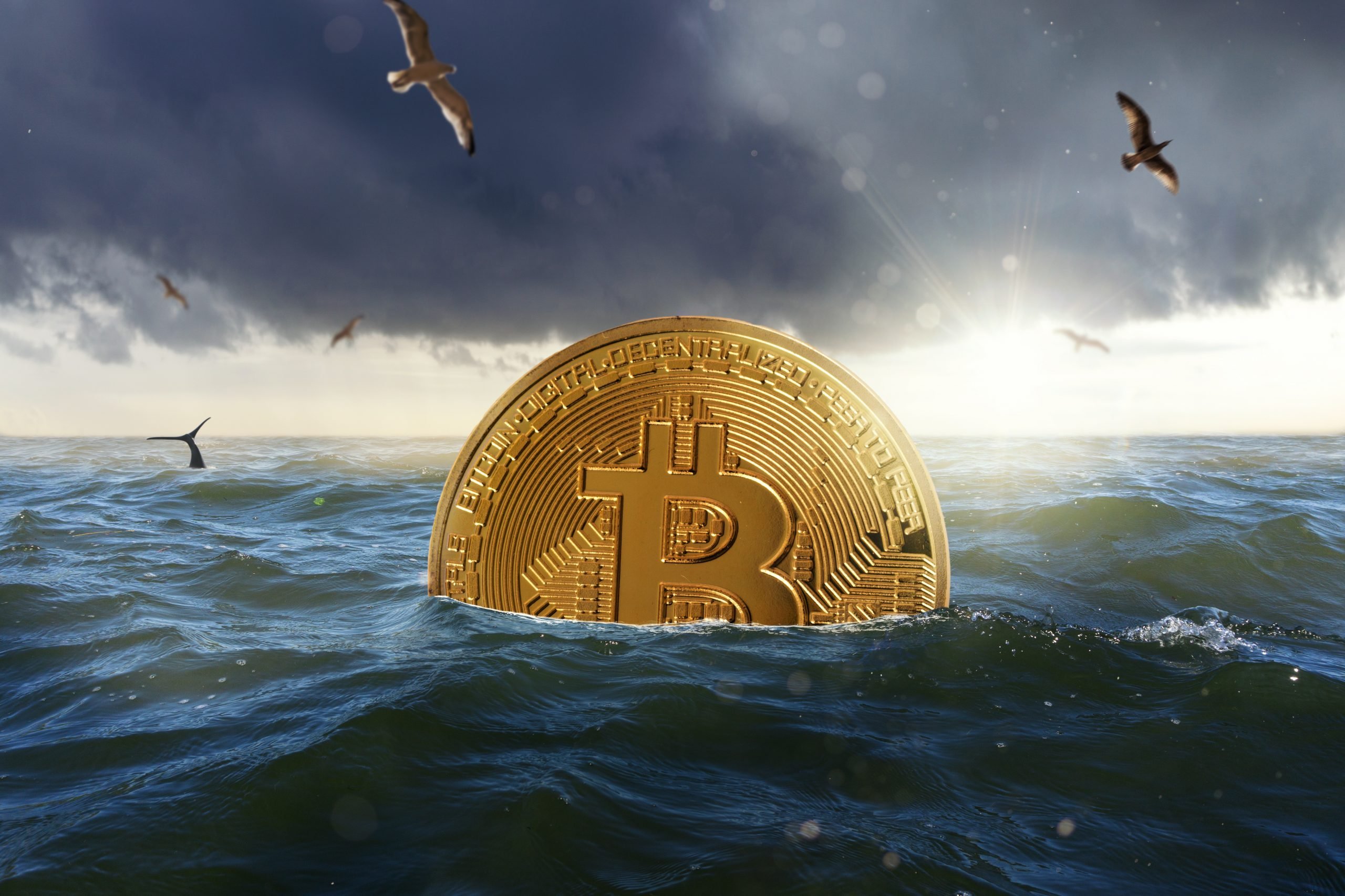 Bitcoin (BTC/USD) vs. Nasdaq: Is the Correlation Affecting Crypto ...