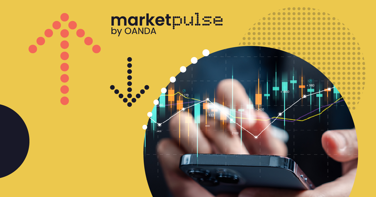 MarketPulse Tools