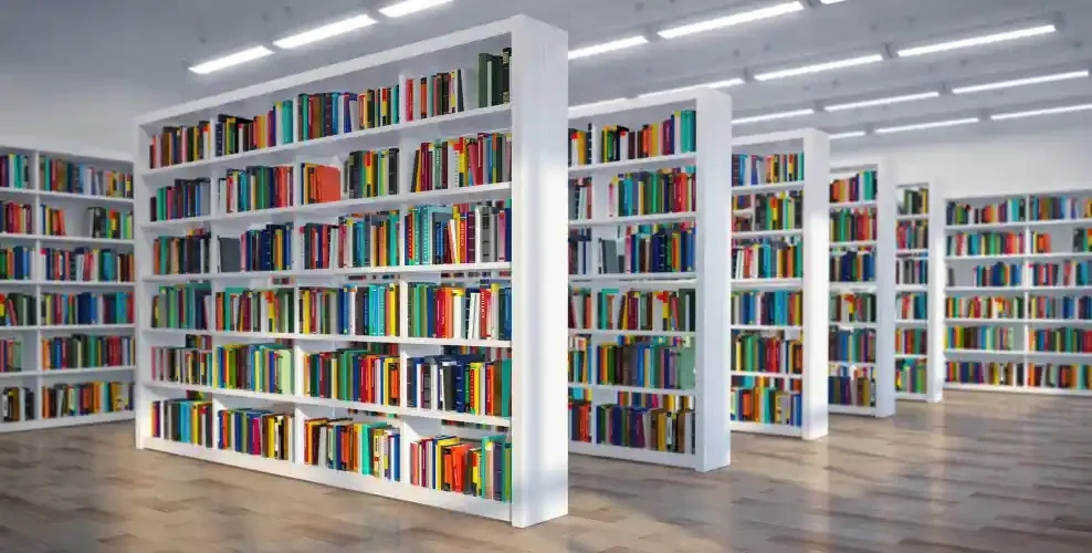 MLIS Course: Scope, Salaries, and Top Colleges Explained