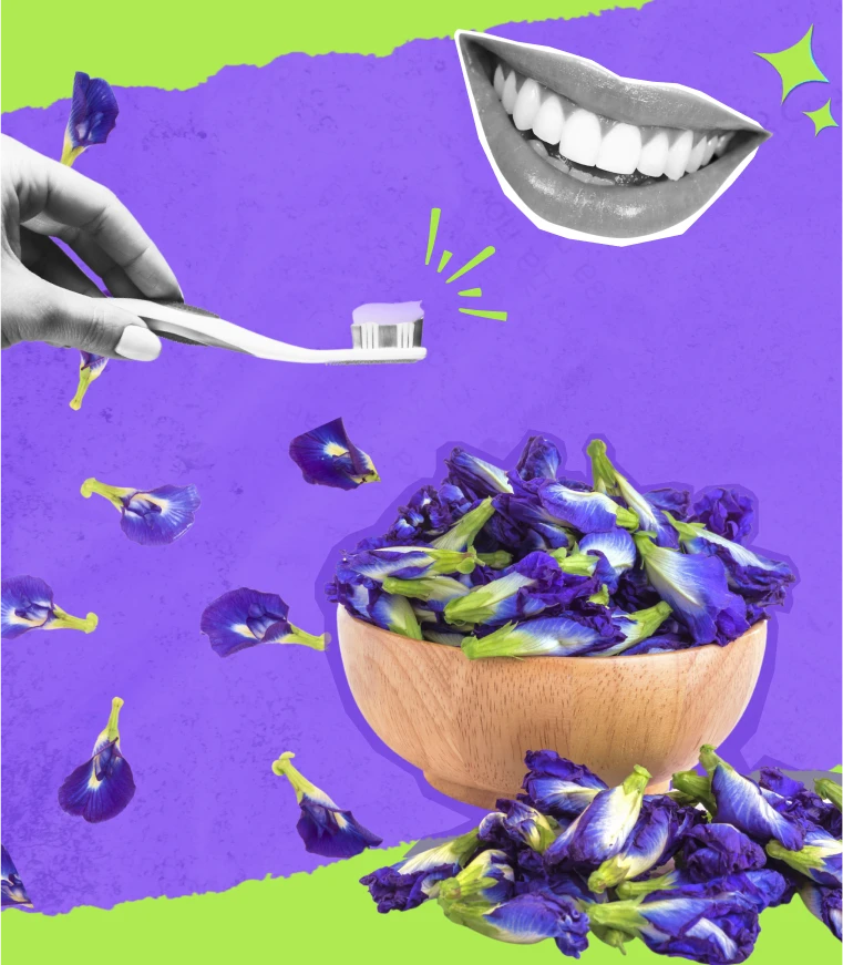 Flower Power for Bright Smile: Butterfly Pea Toothpaste | Universitas ...