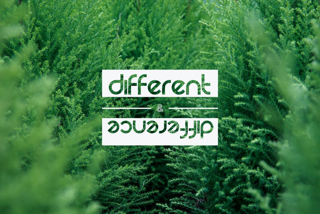 Different and Difference - L+T