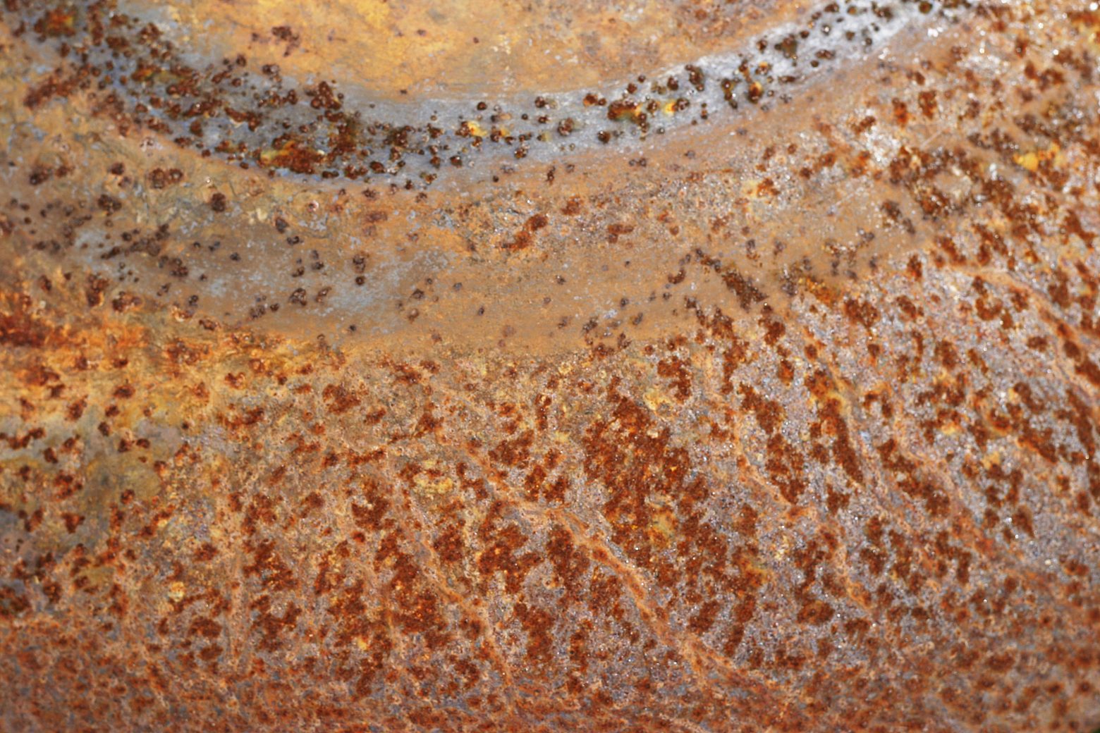 Free Orange Metal Rust Texture Texture - L+T