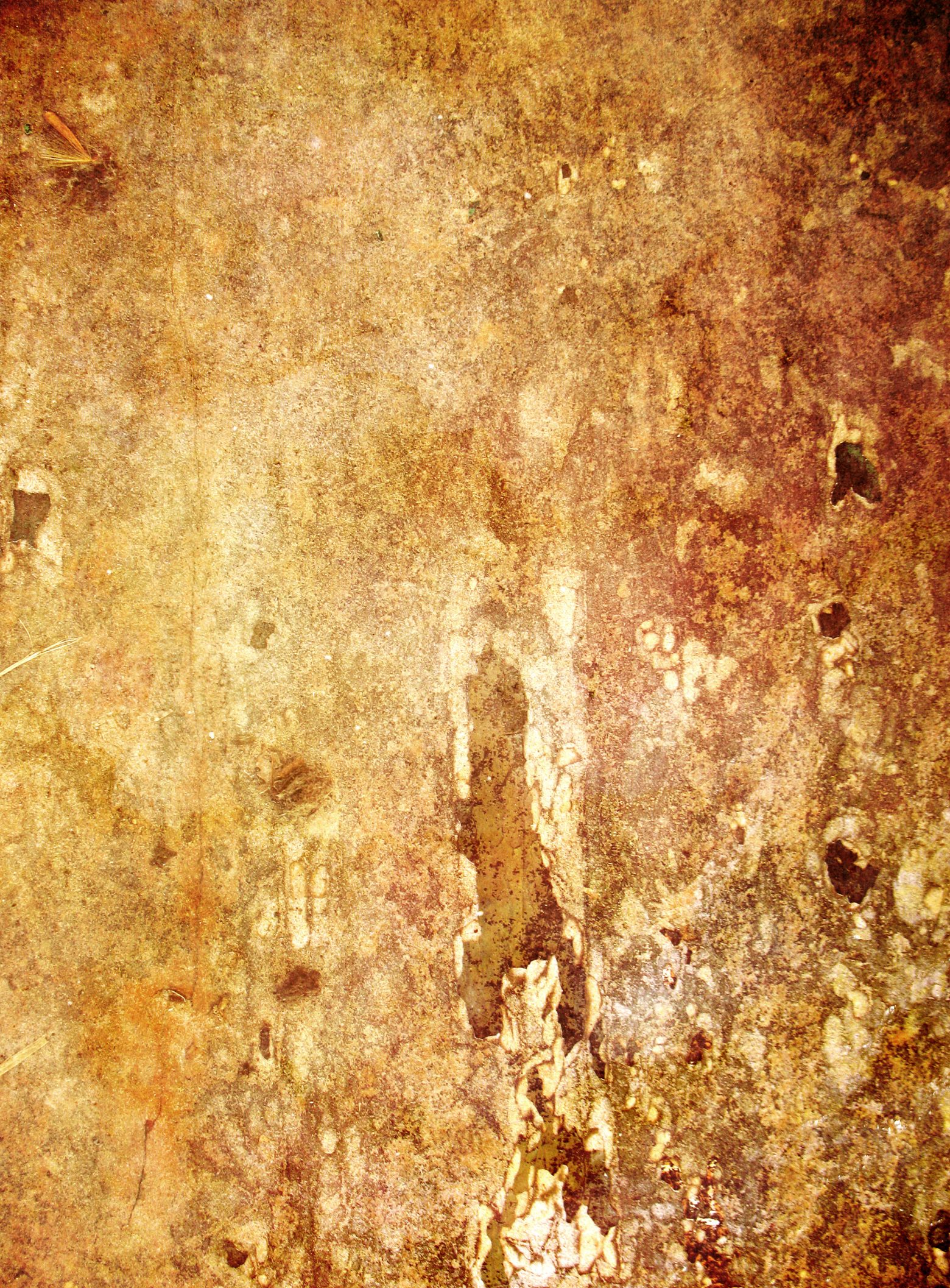 Free Striking Orange Grunge Texture Texture L T