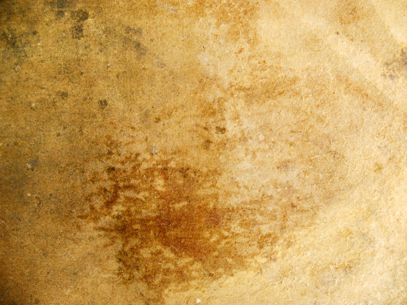 Free Striking Orange Grunge Texture Texture L T
