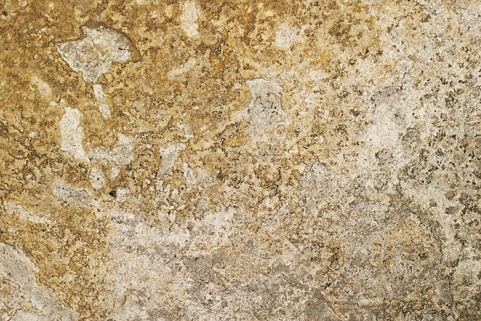 Free Yellow Rock Texture Texture - L+T
