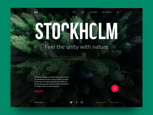 Web Design Ledger