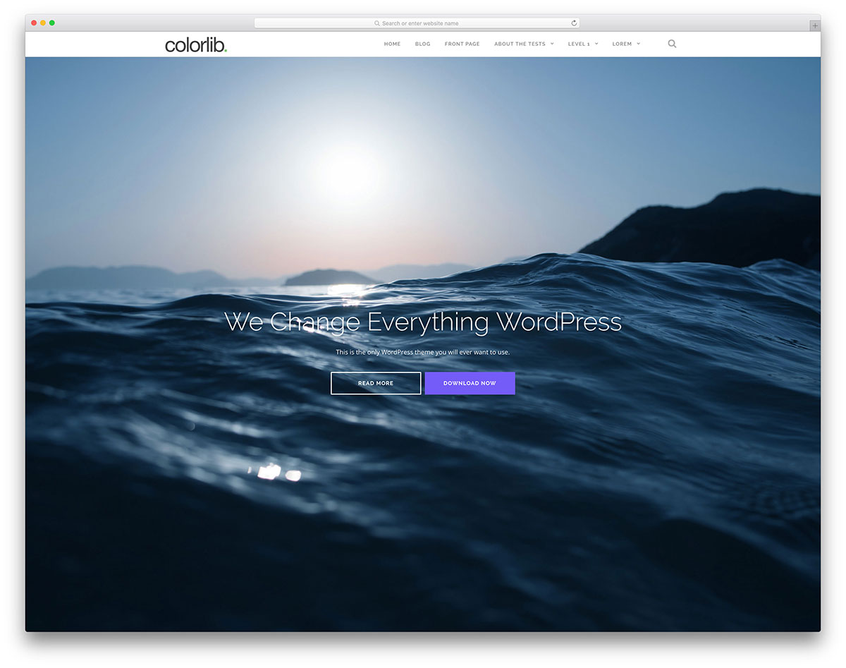 13 Colorlib – Web Design Ledger