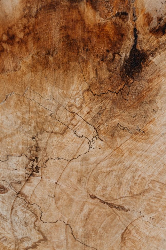 50 Beautiful Free Wood Textures to Download Today | 2020 Update – Web ...