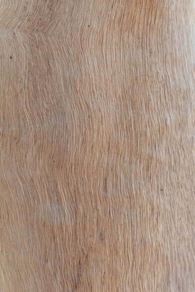 50 Beautiful Free Wood Textures to Download Today | 2020 Update – Web ...