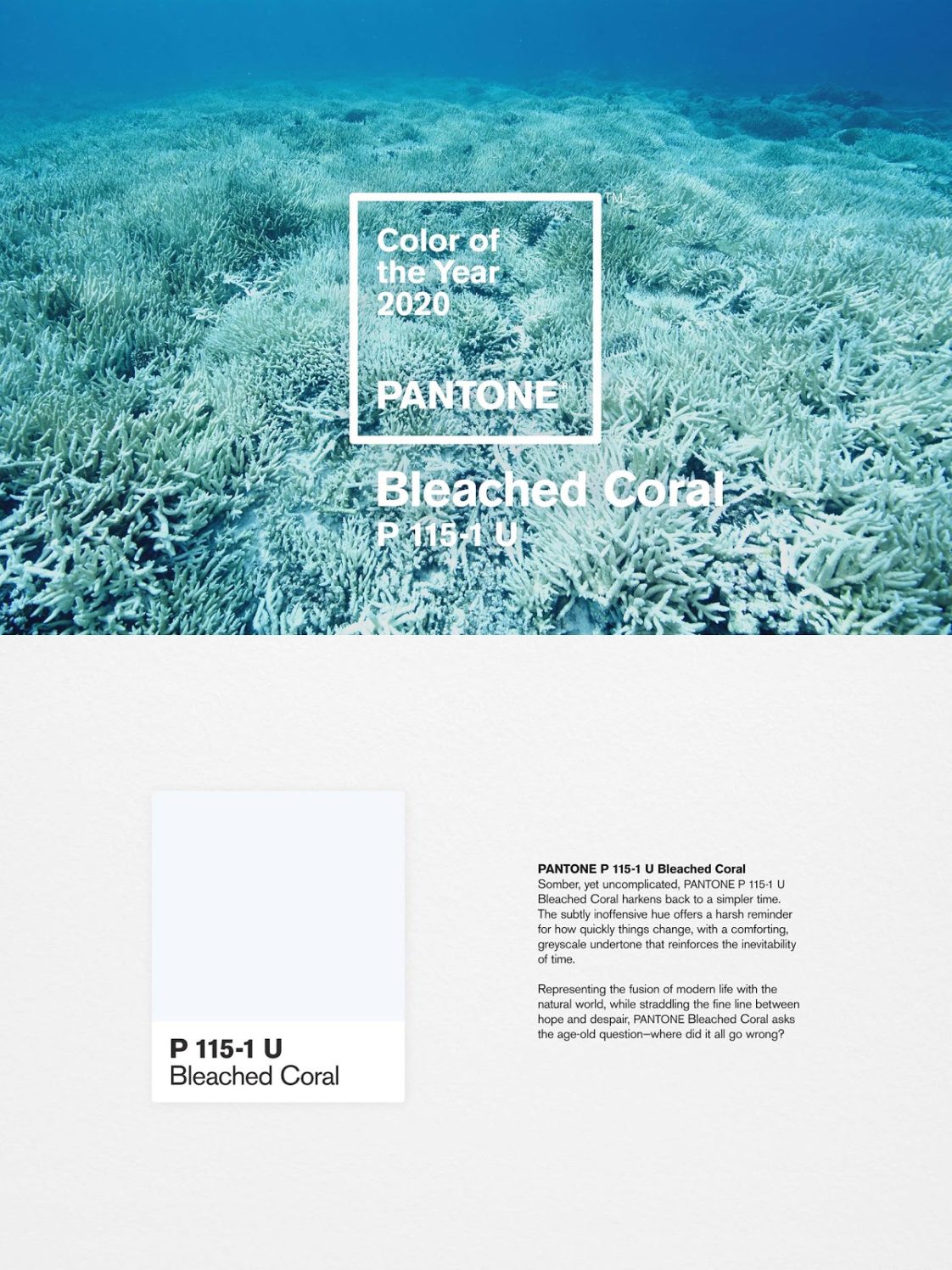 The unofficial Pantone color of the year 2020 – Web Design Ledger