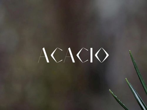 Acacio – Web Design Ledger