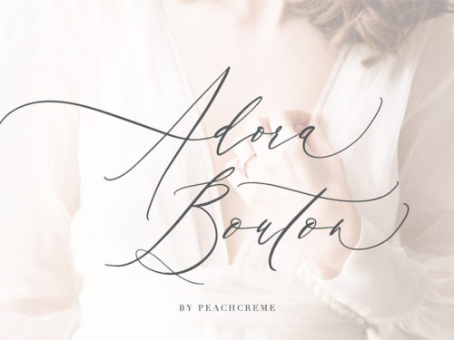 10 Fonts For the Super Fancy Designs – Web Design Ledger