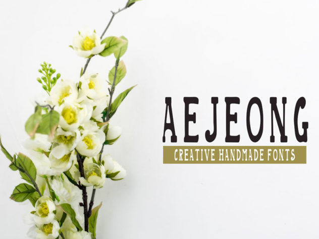 10 Fonts For the Super Fancy Designs – Web Design Ledger