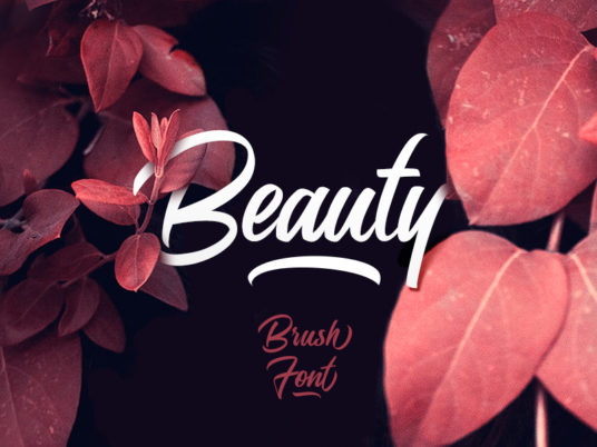 10 Fonts For the Super Fancy Designs - Dragon Digital