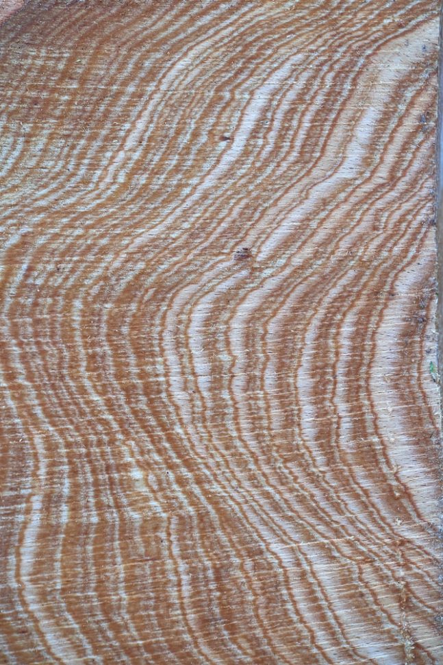 50 Beautiful Free Wood Textures to Download Today | 2020 Update – Web ...