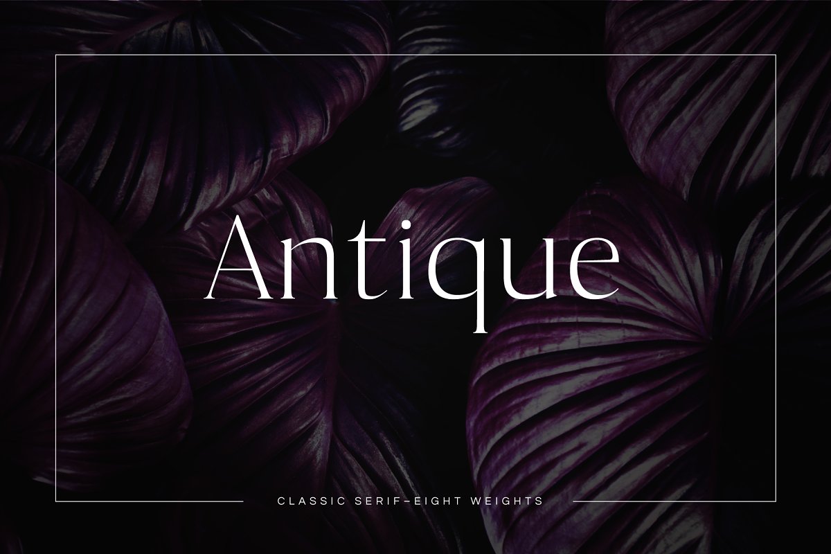 40 Of the Best Classic Fonts Picked by Professional Designers – Web ...