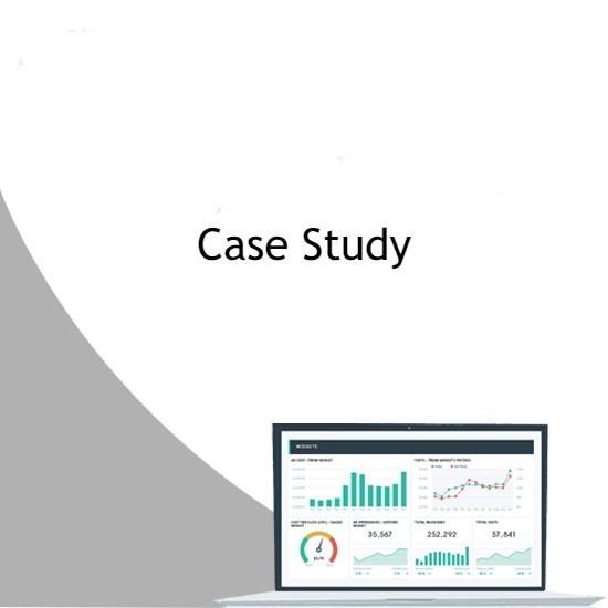 AnalyticsLiv - Case Studies